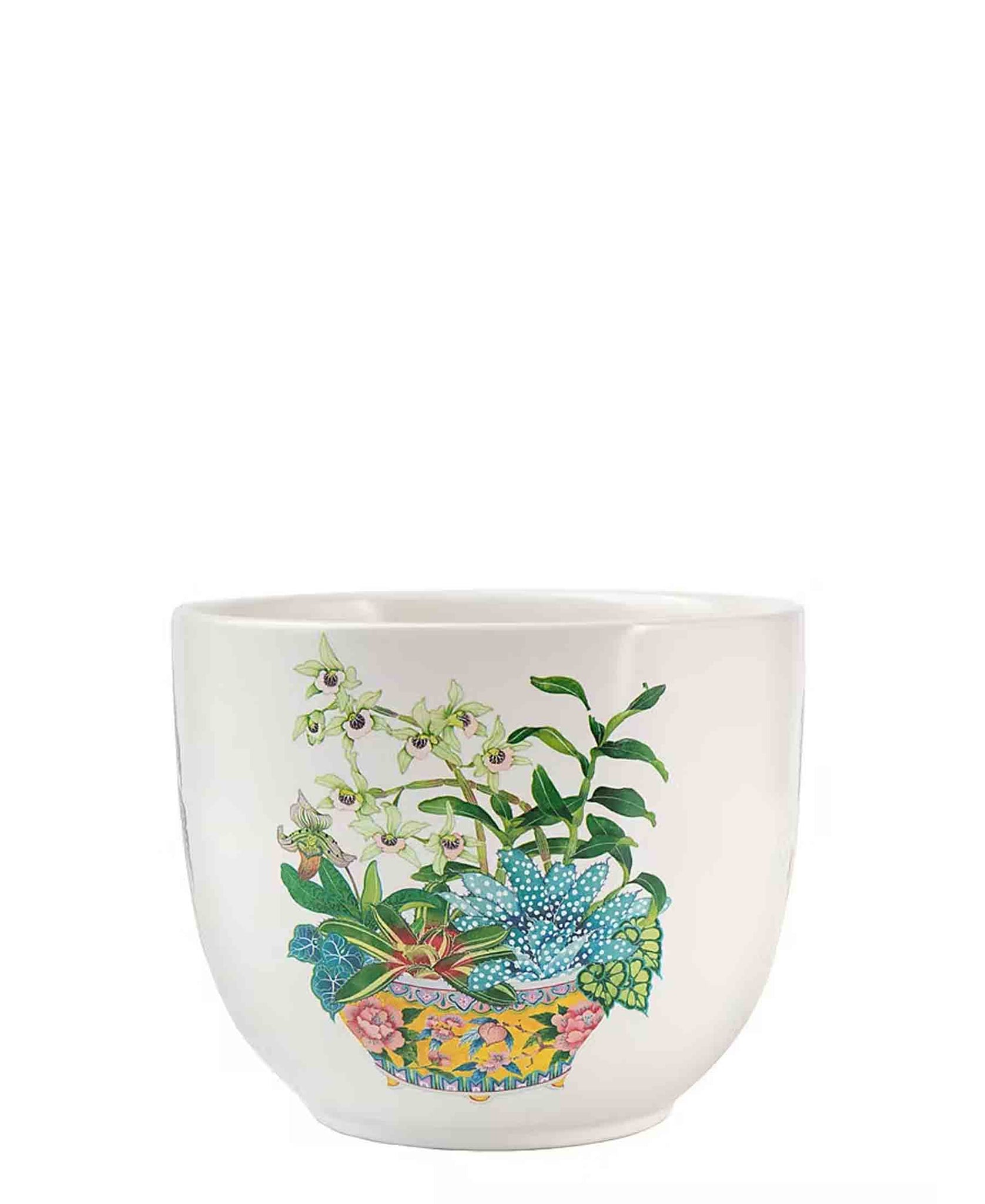 Maxwell & Williams Gabby Malpas Jardin Orchid Planter Pot - White – The ...