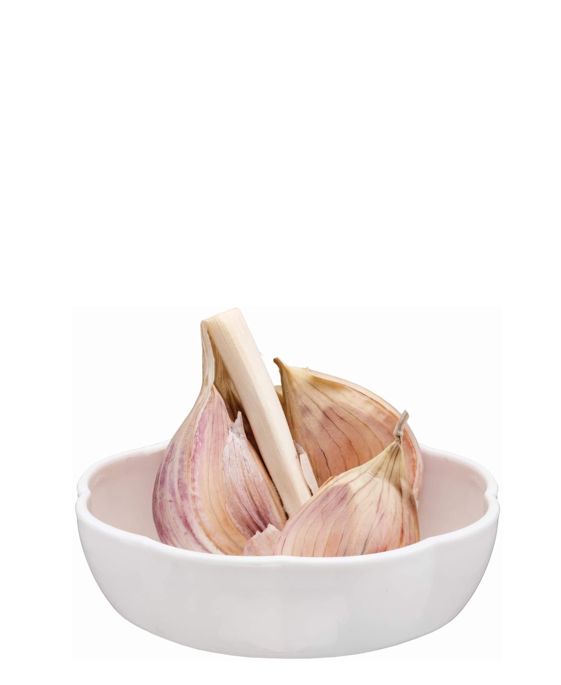 Joie Garlic Pod 8cm - Clear & White – The Culinarium